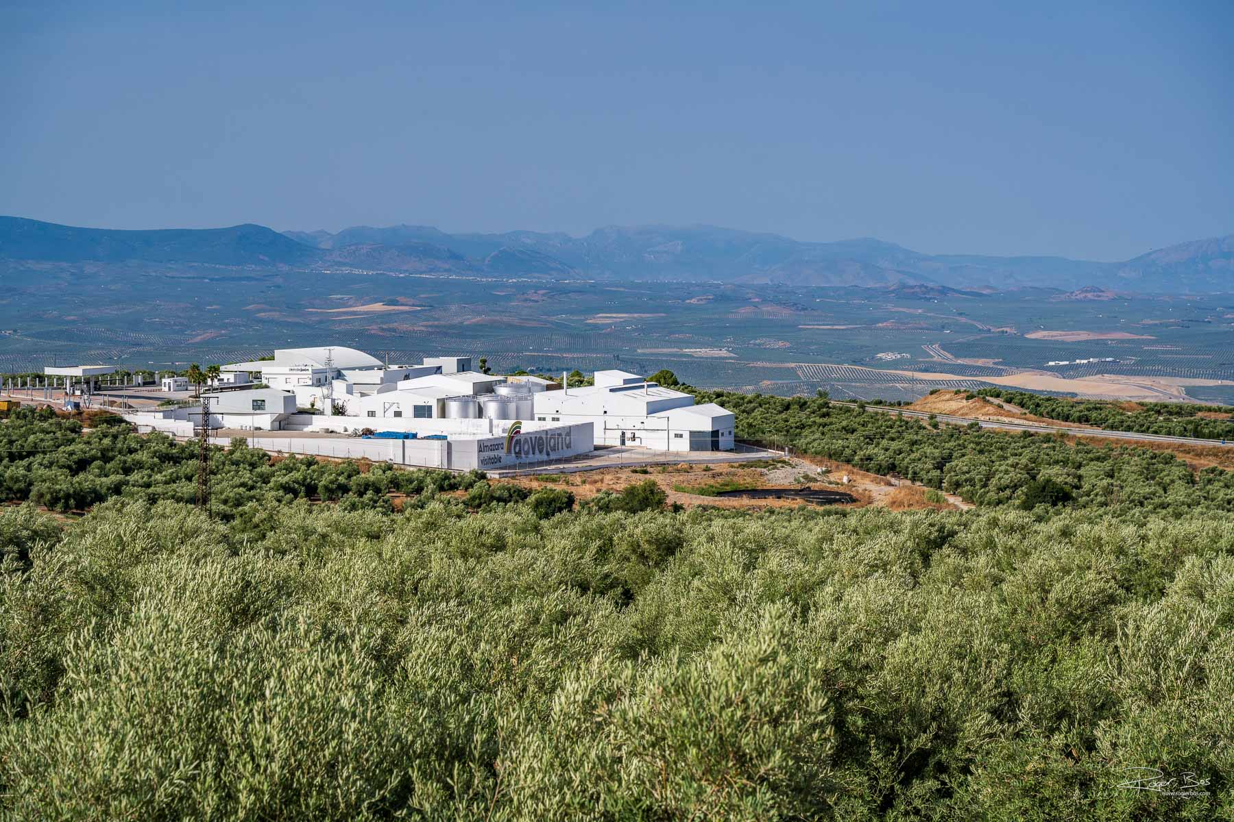 Factory photography of an olive oil mill in Andalucia, Spain